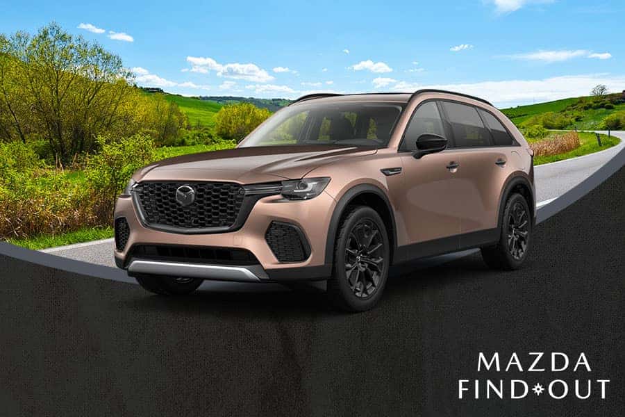 Special Offers | Grappone Mazda